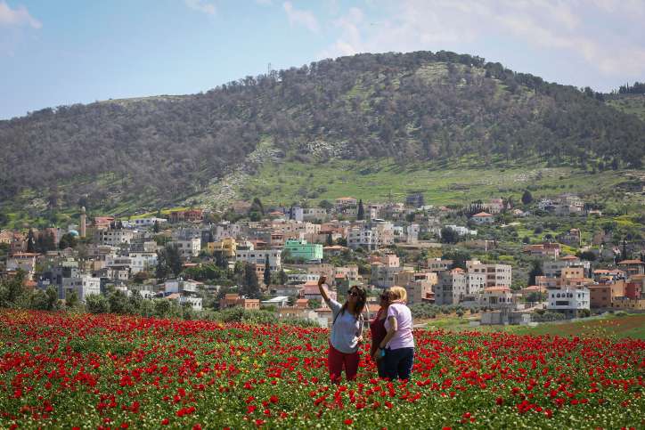Der Winter ist da, die Blumen blühen in Galiläa! - Israel Heute