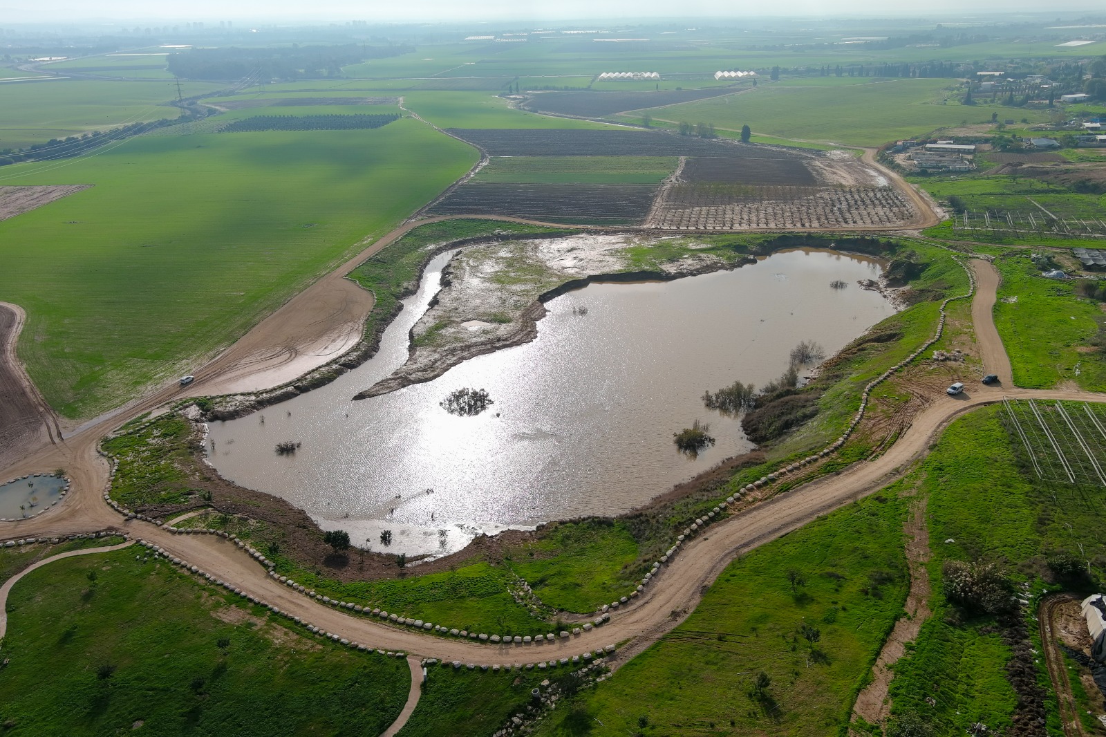 Heavy rainfall turns Negev green following years of war - Israel Today